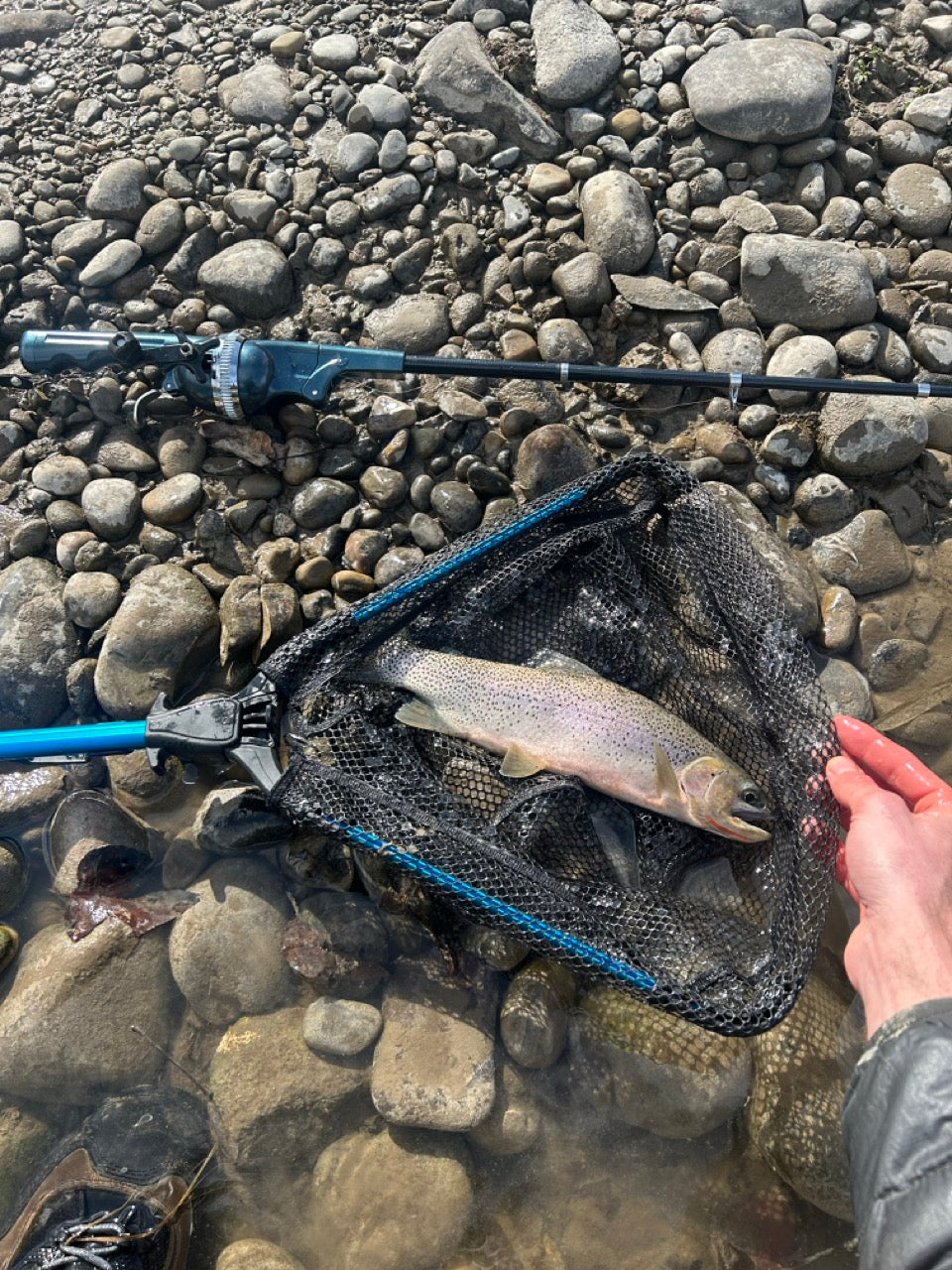 Travel Fishing Rods Explained: Pack Light, Fish Anywhere – CarryCast